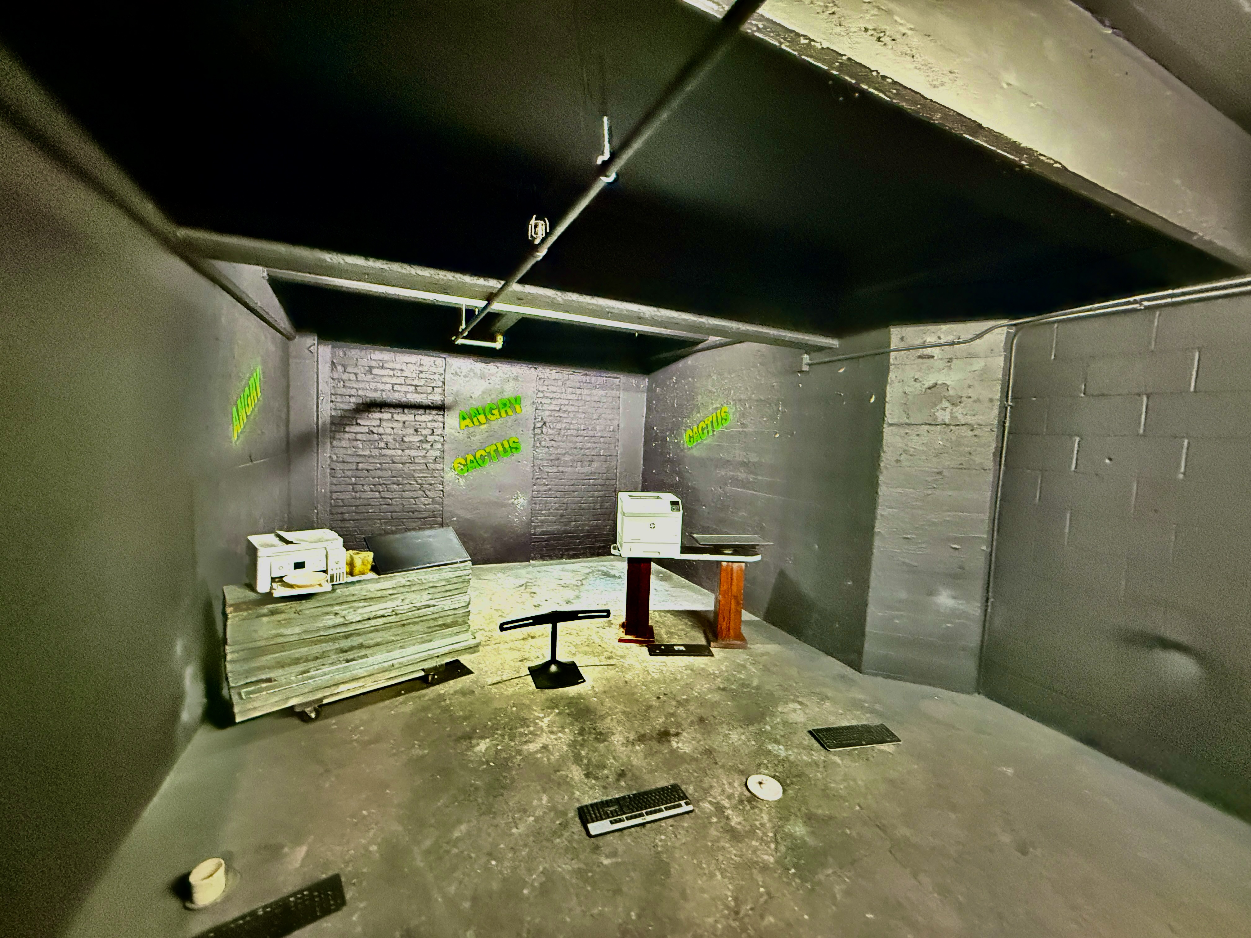 The Angry Cactus Lounge | Axe Throwing & Rage Rooms | Chicago Entertainment
