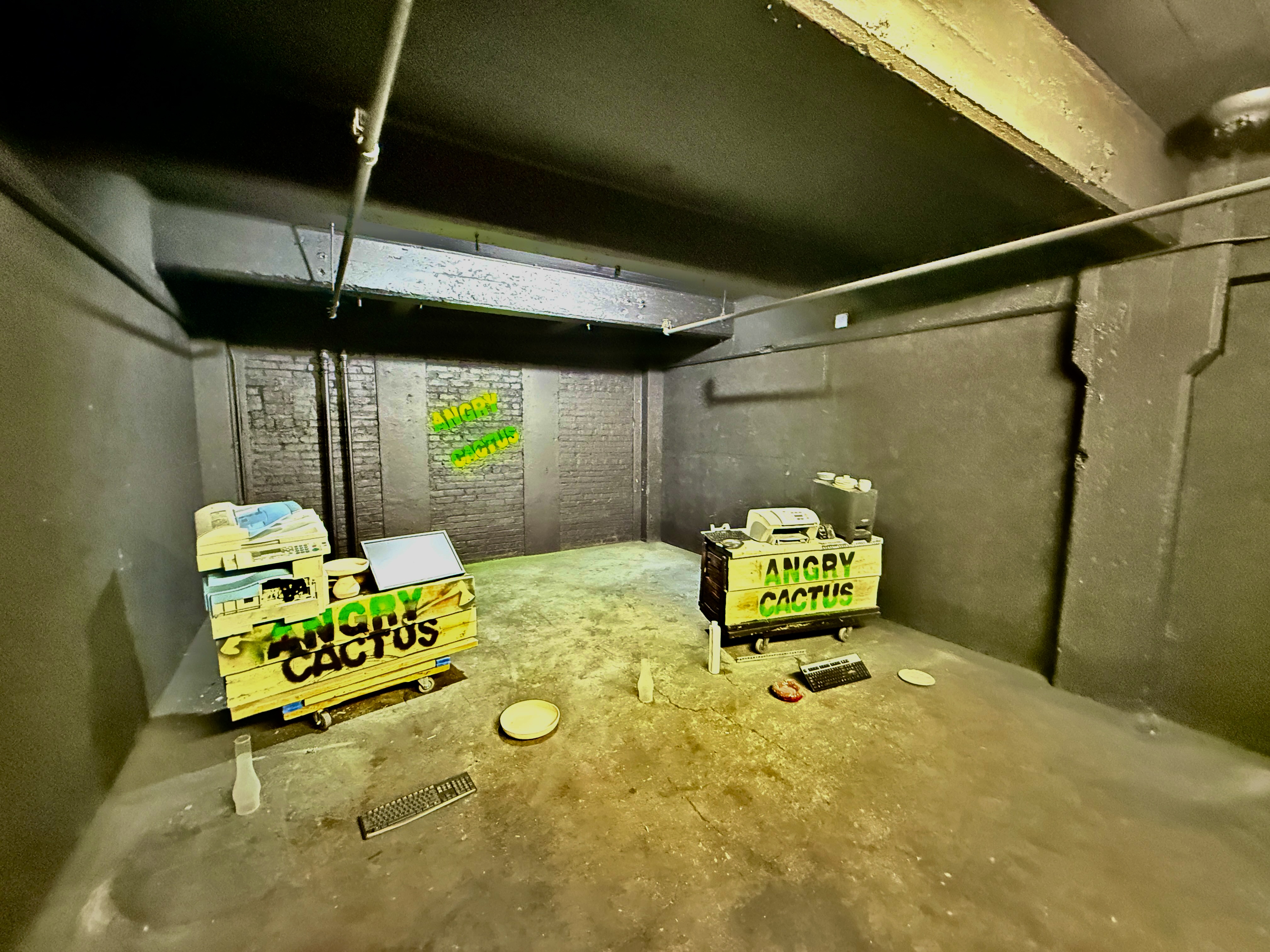 The Angry Cactus Lounge | Axe Throwing & Rage Rooms | Chicago Entertainment