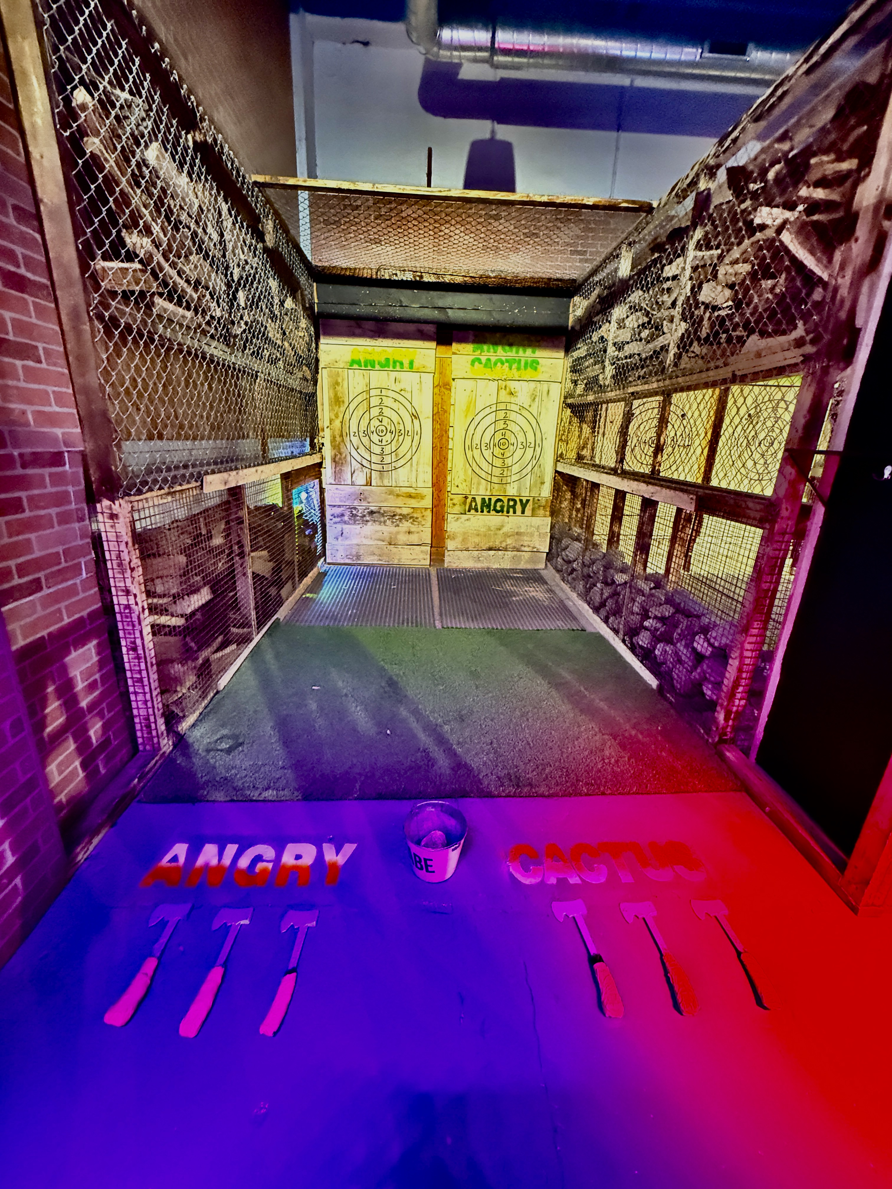 The Angry Cactus Lounge | Axe Throwing & Rage Rooms | Chicago Entertainment